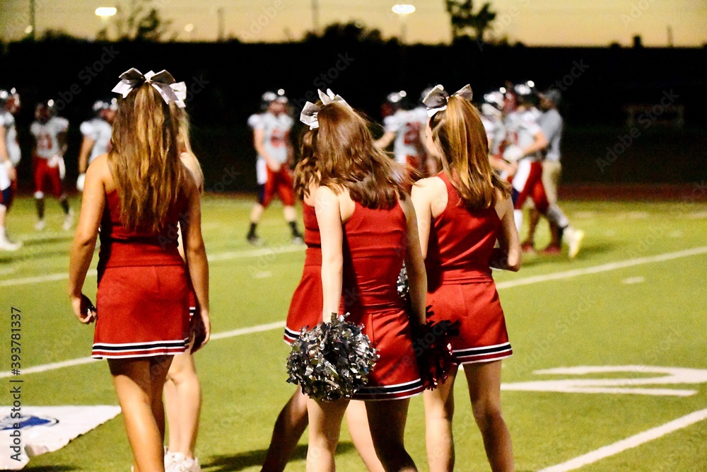 Rear View Of Cheerleaders On Football Stadium Stock Photo | Adobe Stock