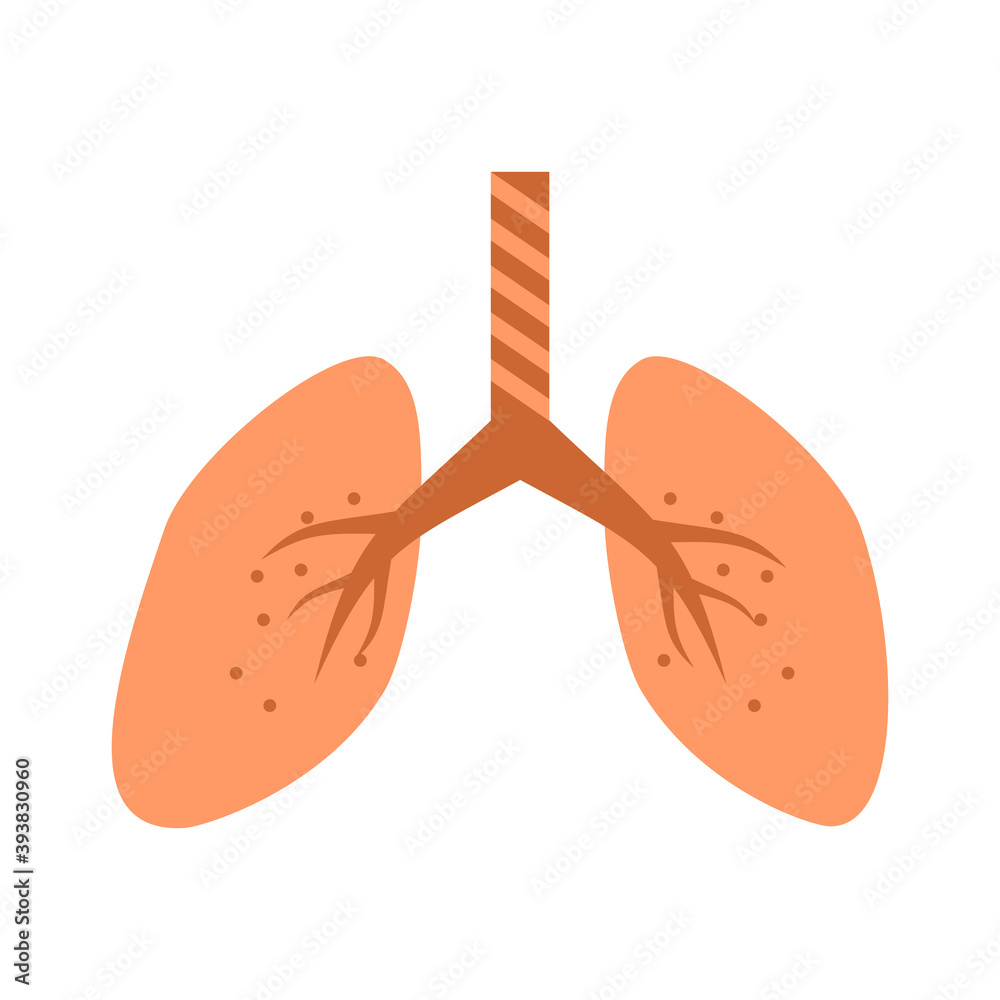 Flat lungs icon.Pulmonology vector illustration isolated on white ...
