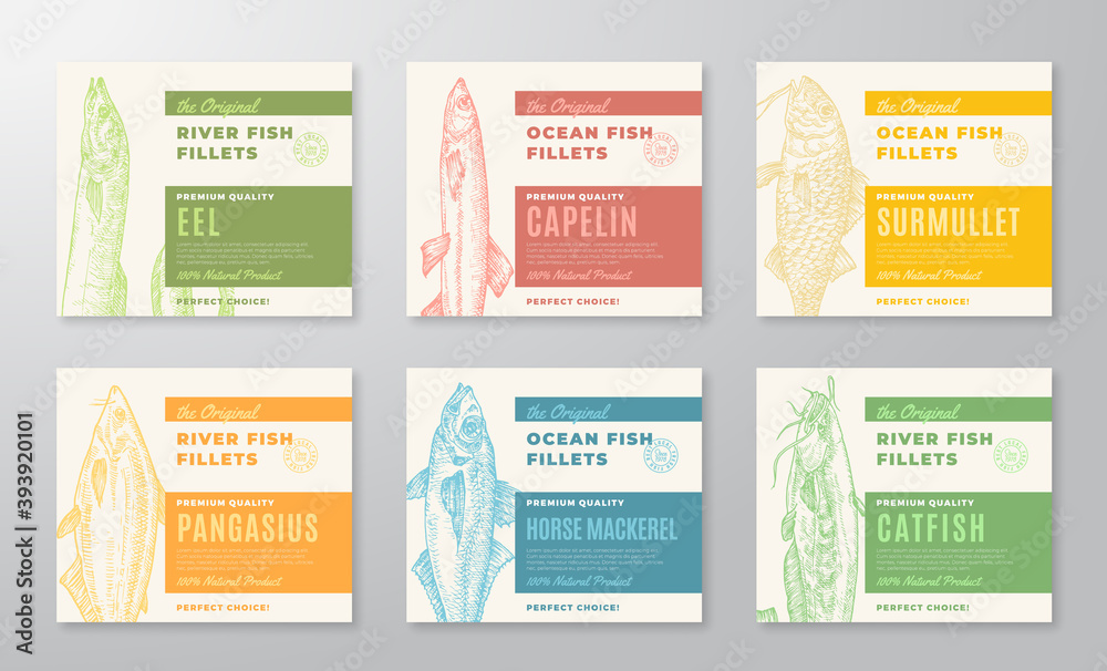 Premium Quality Fish Fillets Labels Collection. Abstract Vector Fish ...