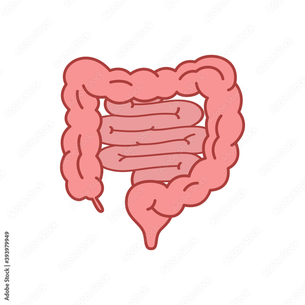 Simple icon of intestines, internal human organs. Intestines vector ...