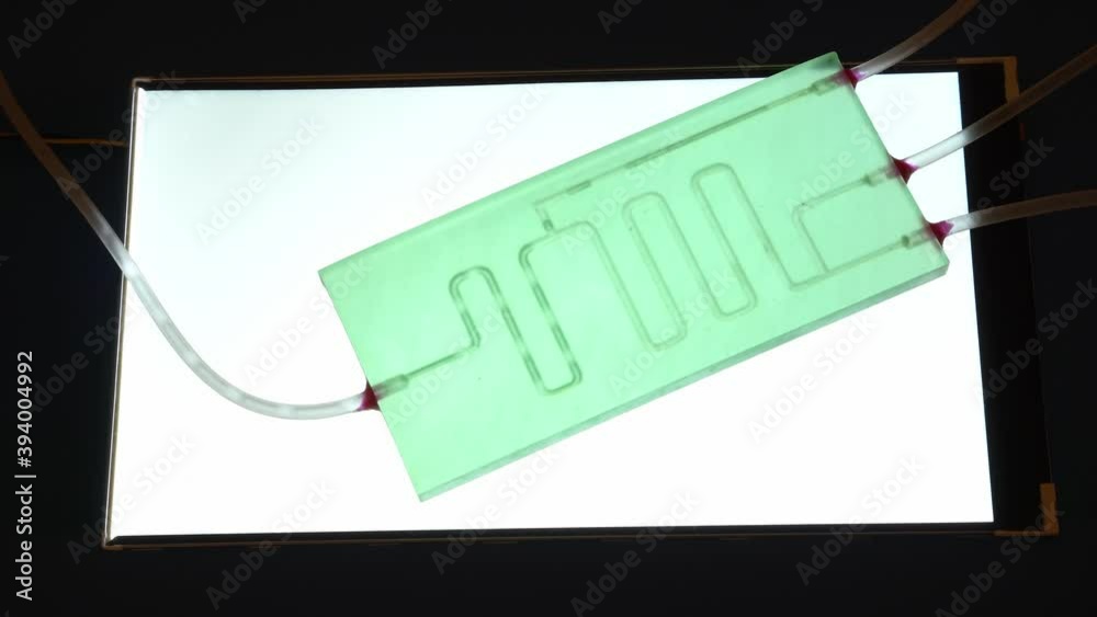 Organ-on-a-chip (OOC) - microfluidic device chip that simulates ...