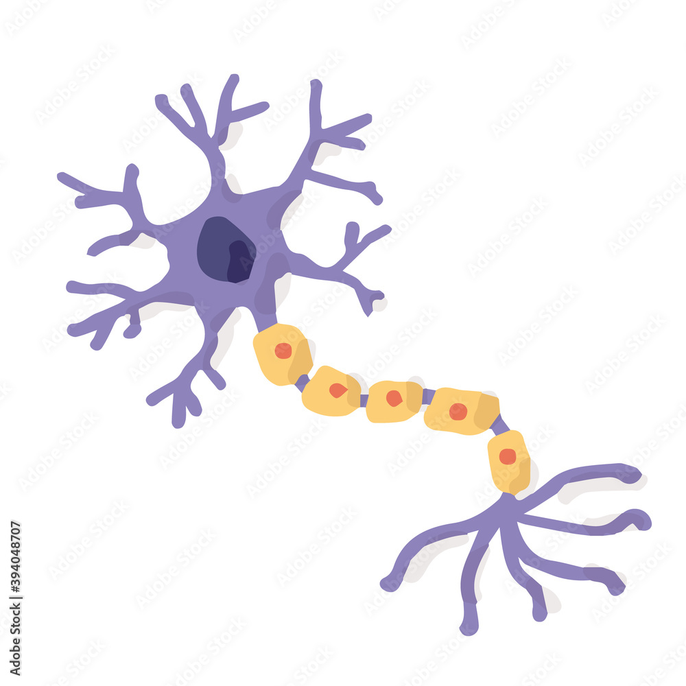 Neuron anatomy; Hand drawn vector illustration like woodblock print ...