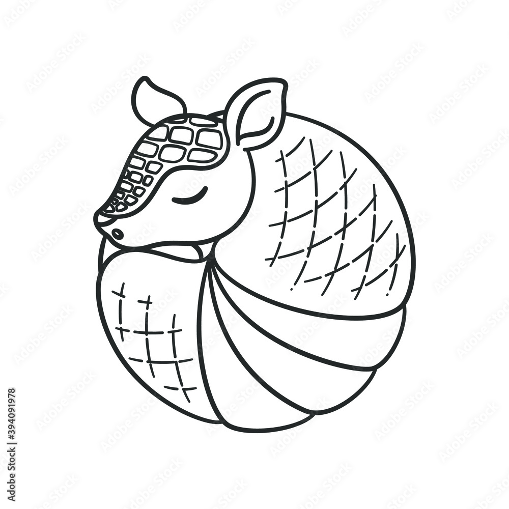 Armadillo sleeping and rolled up into a ball cartoon outline vector ...