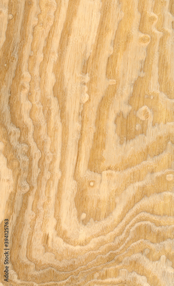 Macro photo of wood cross section Wood grain texture background Stock ...