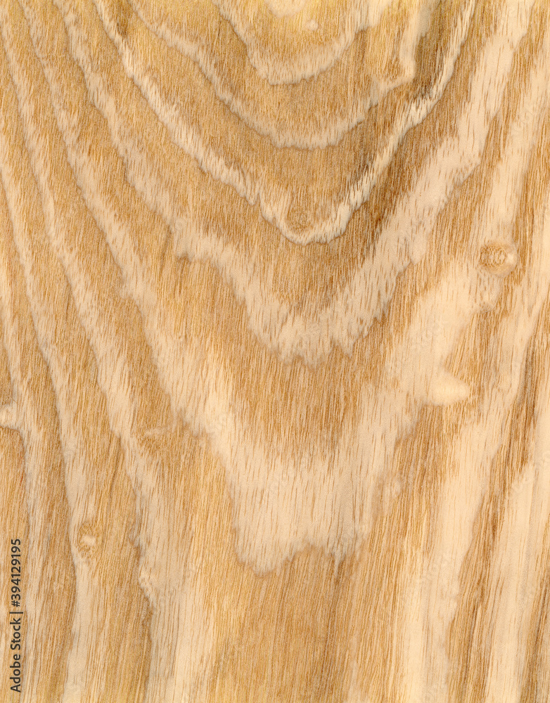 Macro photo of wood cross section Wood grain texture background Stock ...
