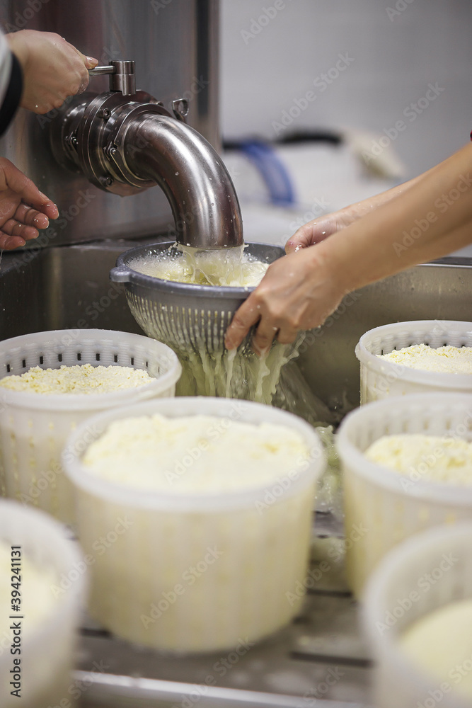 equipment of a private cheese factory and stages of preparation and ...