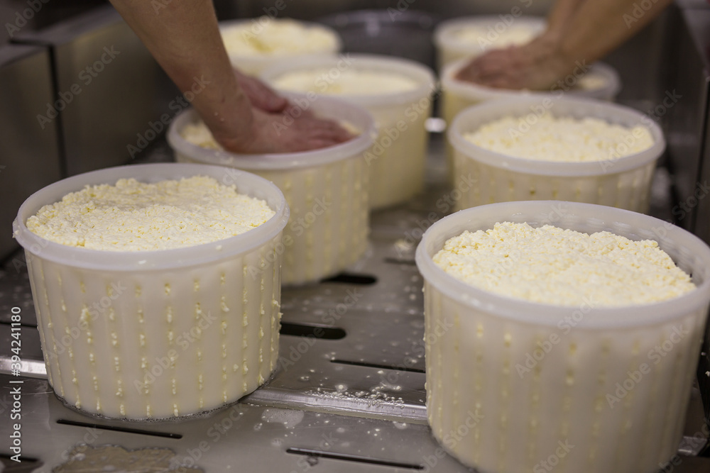 equipment of a private cheese factory and stages of preparation and ...