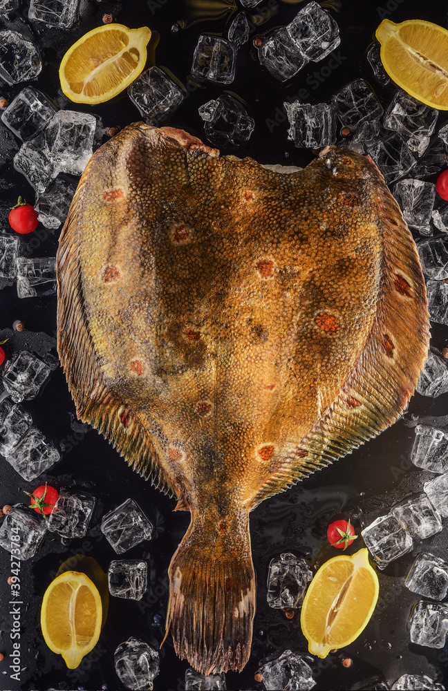 huge flounder without a head on a black background with ice cubes ...