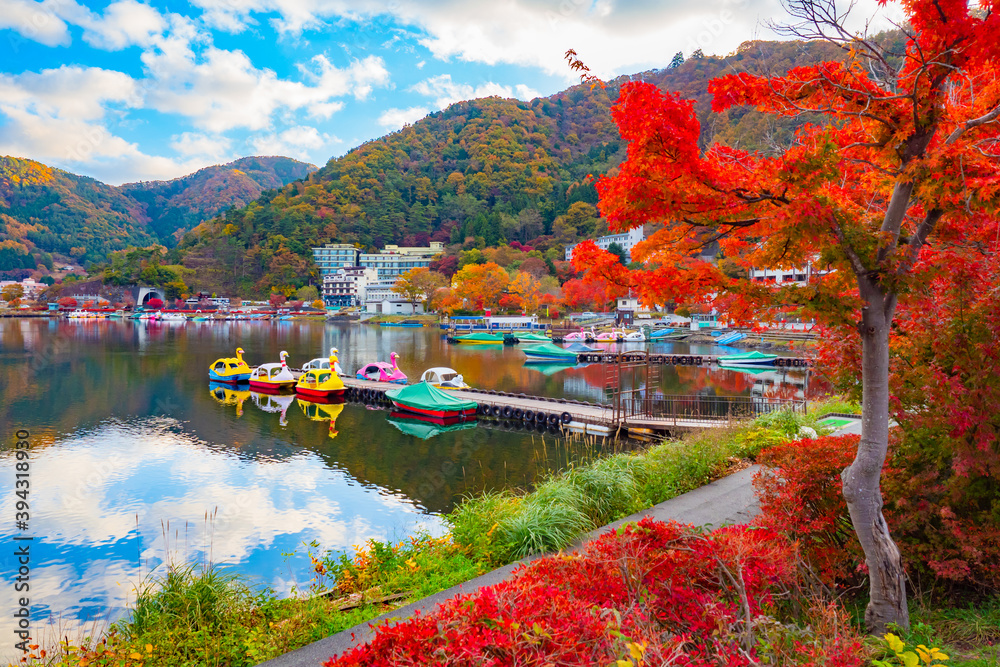 Japan. Red Japanese maple on the background of lake Kawaguchiko ...