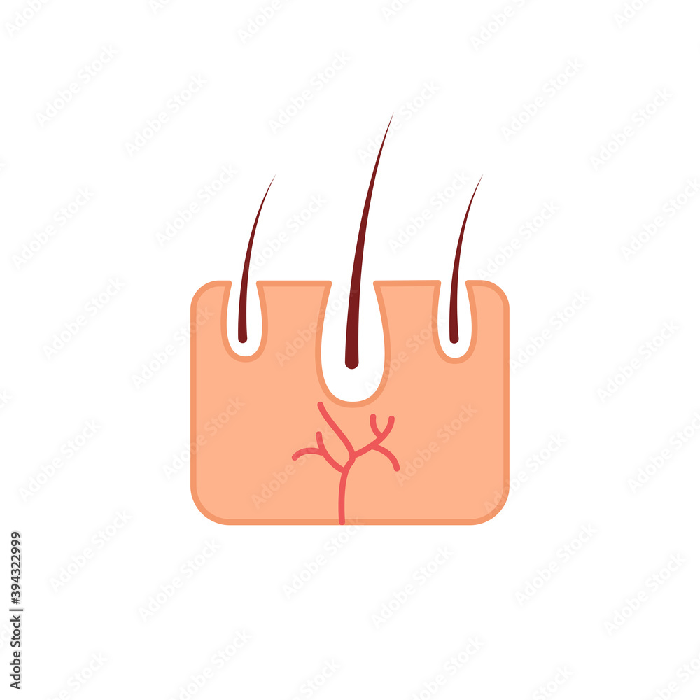 Simple icon of human skin. Human skin vector illustration.. Stock ...