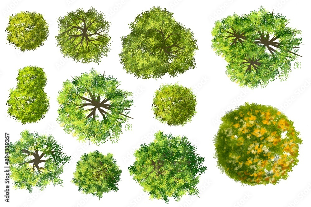 Collection of abstract watercolor green tree top view isolated on white ...