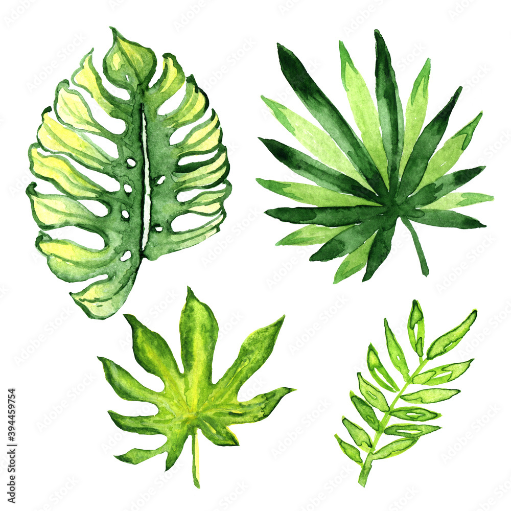 Watercolor tropical leaves,watercolor, tropical leaves ,clip art ...