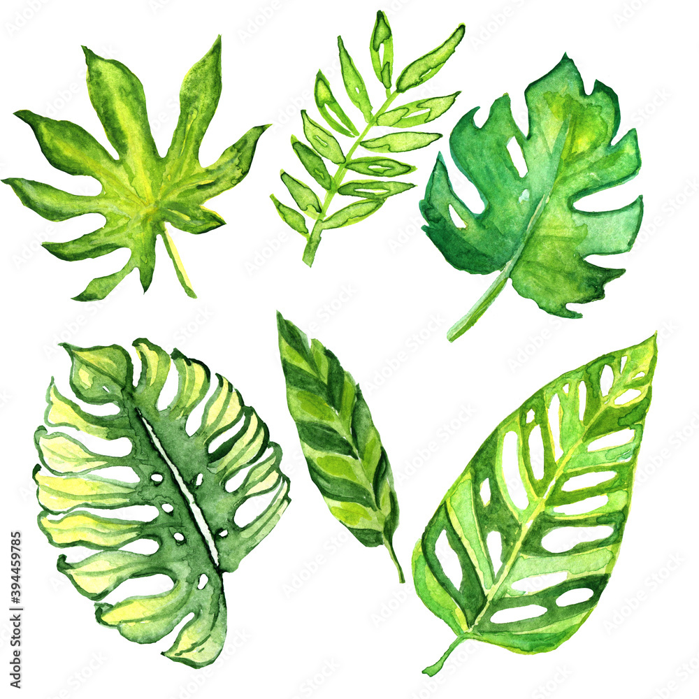 Watercolor tropical leaves,watercolor, tropical leaves ,clip art ...