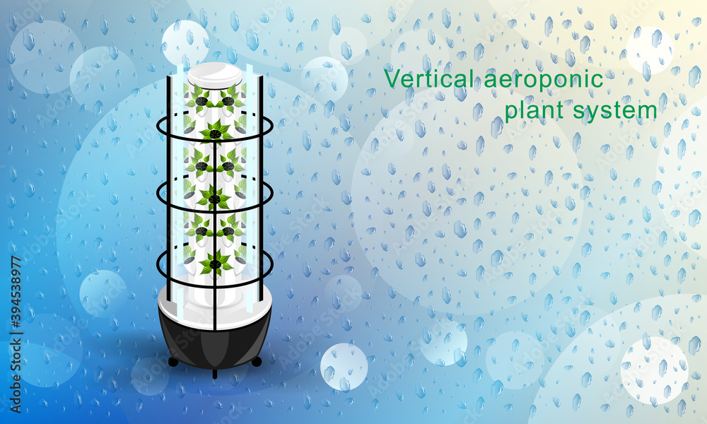 Vertical aeroponics plant growth system. Vegetables and grass growing ...