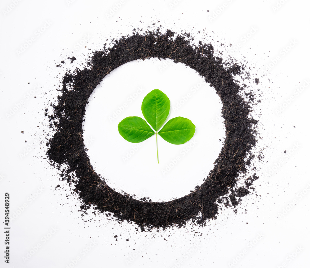 Leaf in the round circle frame of black land, Top view of soil with ...