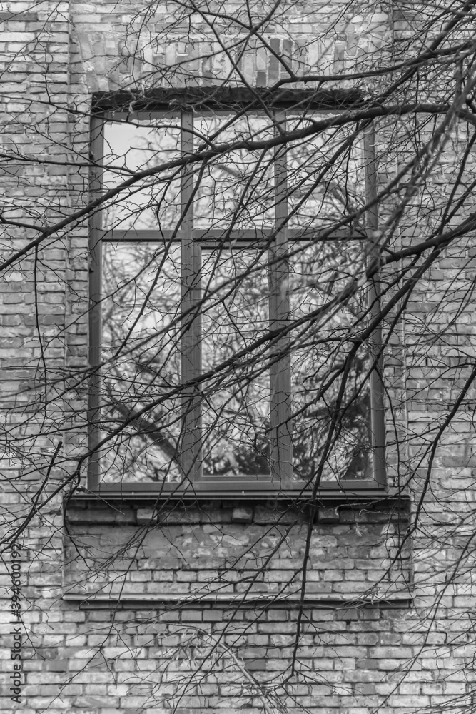 Brick building in b / w. High walls. Bare branches. University ...