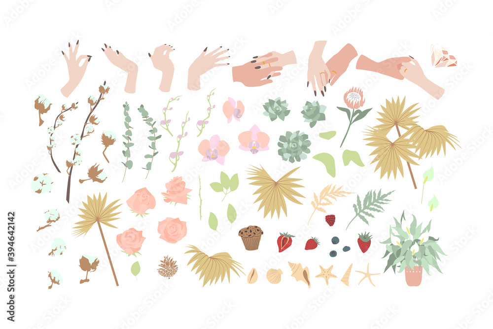 Elegant hand drawn pastel boho floral clipart set. Isolated on white ...