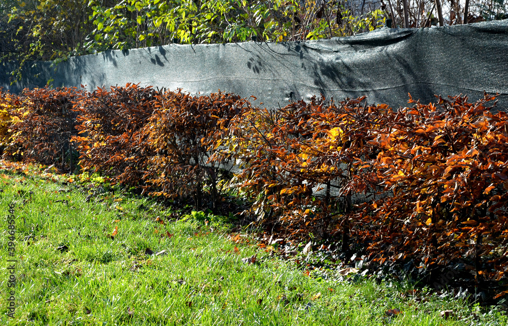 visual barrier on a wire fence. it consists of a green shading fabric ...