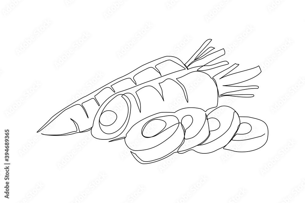 Continuous line drawing of sliced carrot. One line art of carrot ...