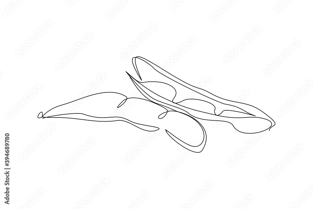 Edamame Drawing