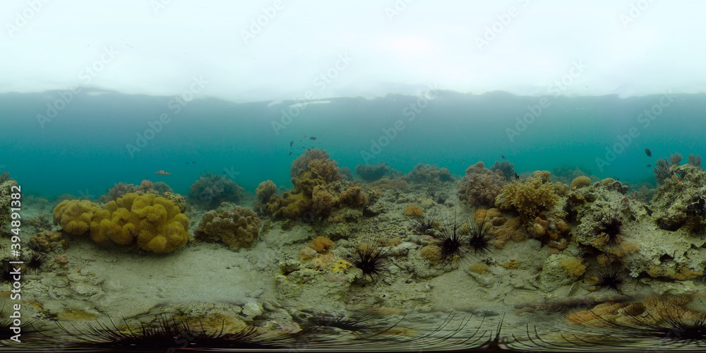 Underwater Scene Coral Reef. Underwater sea fish. Tropical reef marine ...