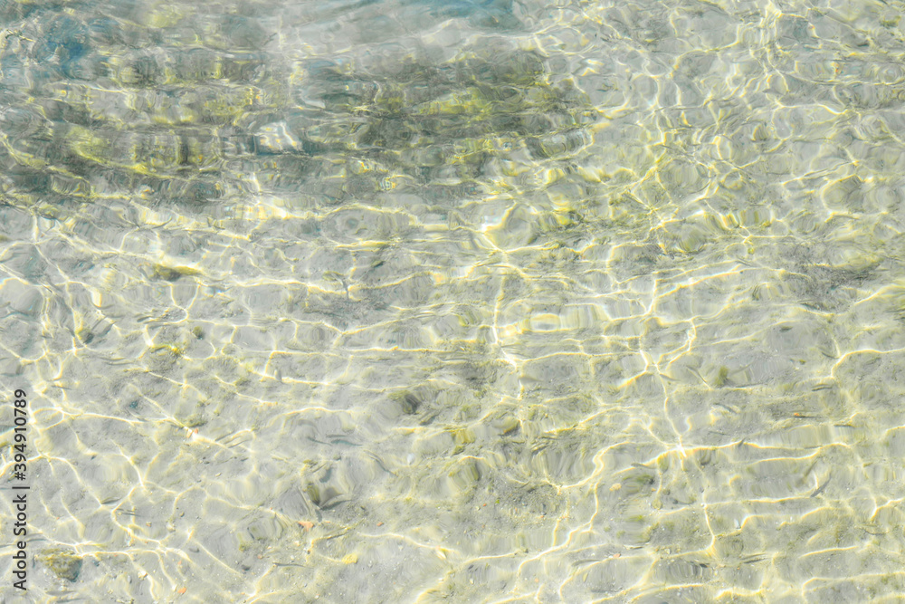 Shallow clear green and yellow water with algae and small stones on the ...