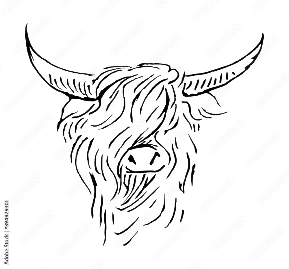 Black and white pen drawing of a Scottish Highlander. Cool artwork of a ...