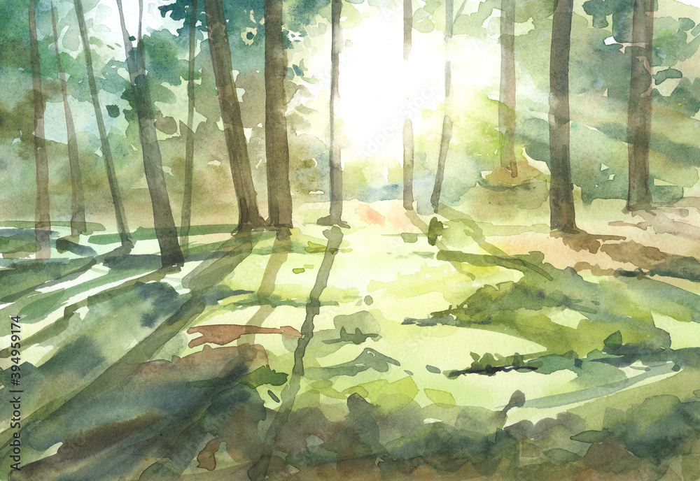 Watercolor drawing of a forest with sunbeams and scenic shadows ...