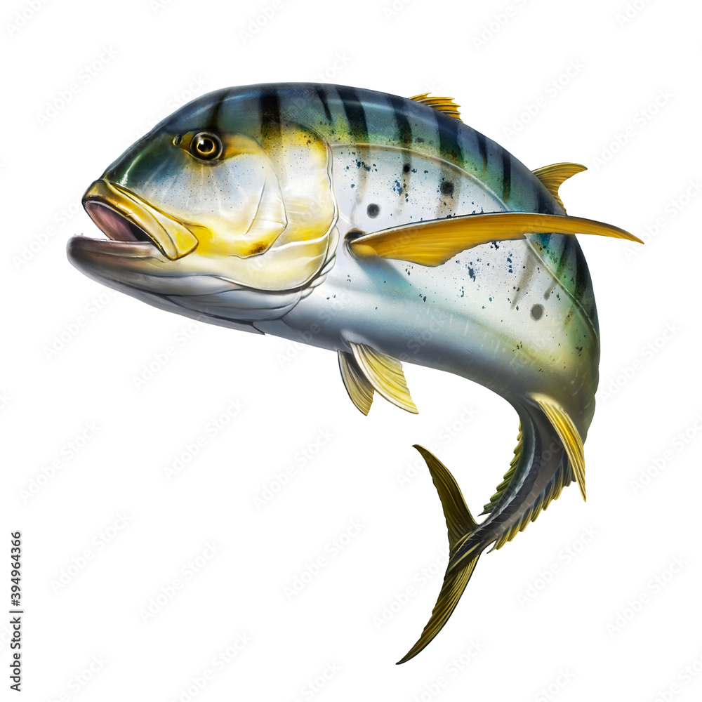 Jack Fish