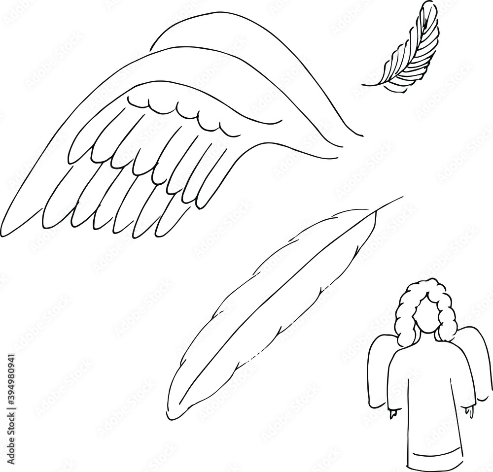 One Angel Wing Drawing