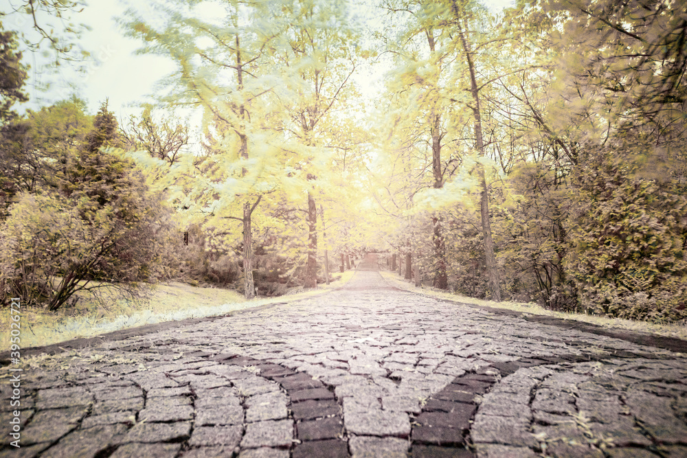 Infrared filters allow us to shoot at Infrared wavelength by blocking ...