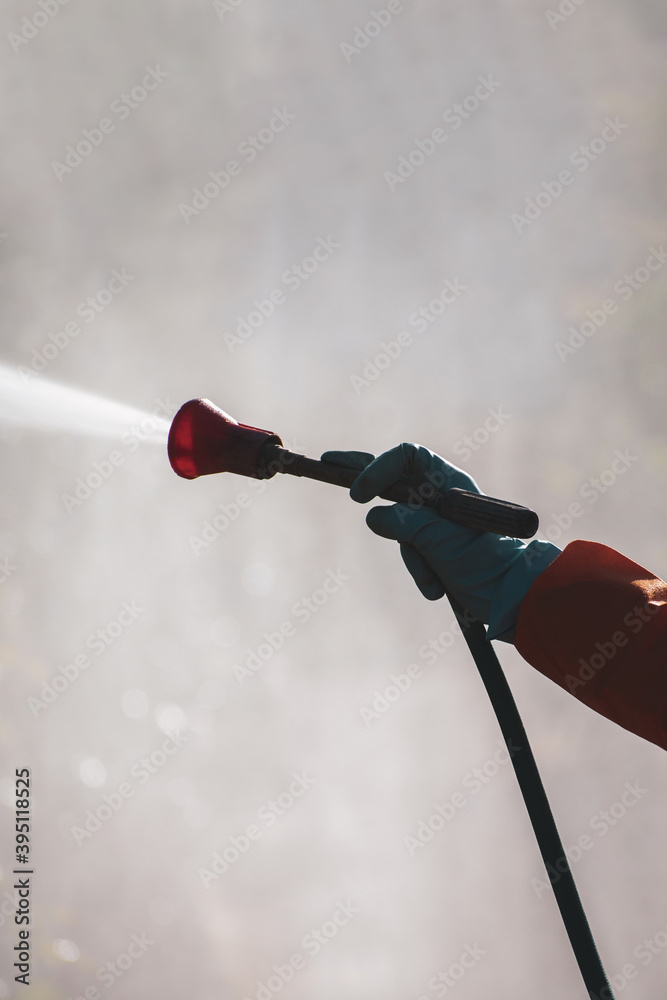 Spray pesticides, pesticide on fruit lemon in growing agricultural ...