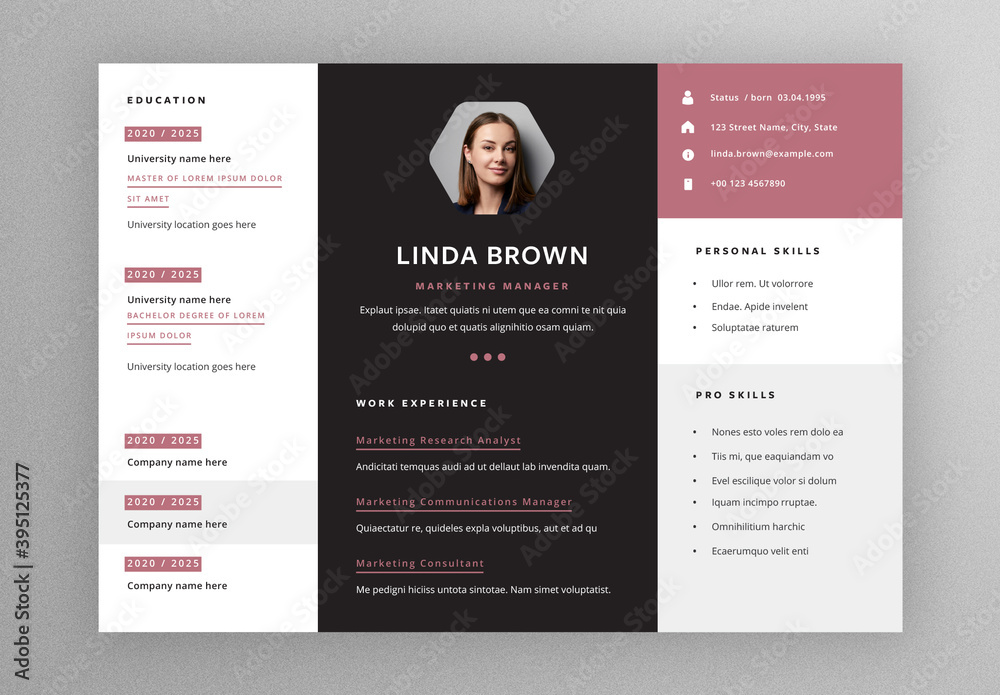 Horizontal Resume Layout with Divided Sections Stock Template | Adobe Stock