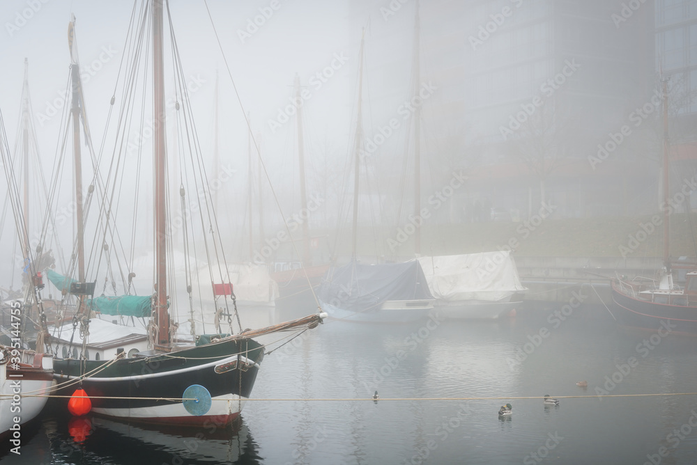 Elegant and modern yachts, sailing and fishing boats, small ships ...