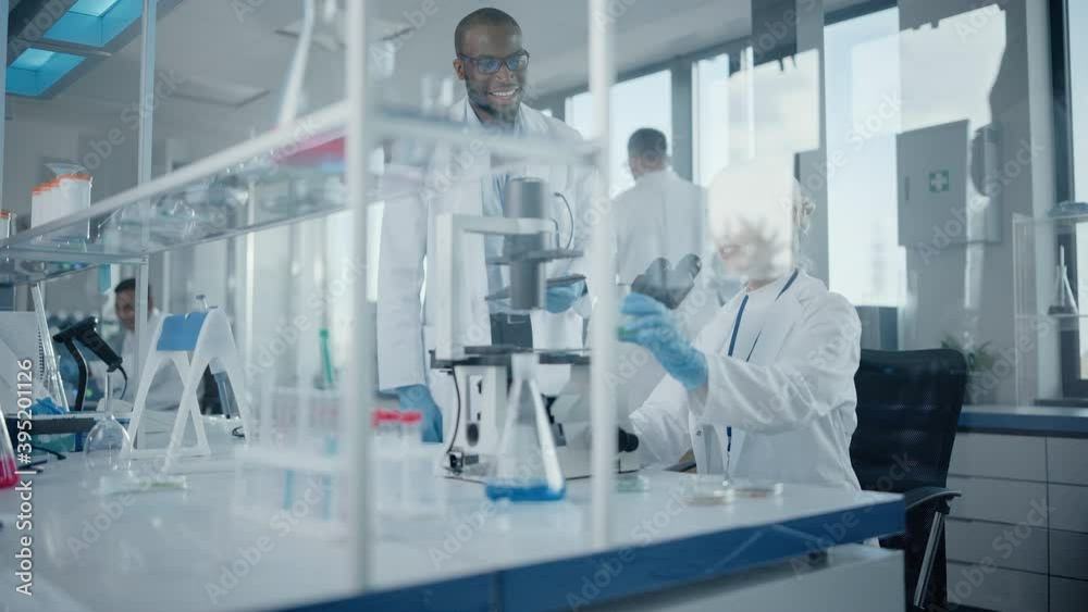 Modern Medical Research Laboratory: Two Scientists Working Together ...