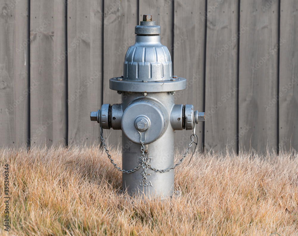 Silver fire hydrant in grass with wood fence Stock Photo | Adobe Stock