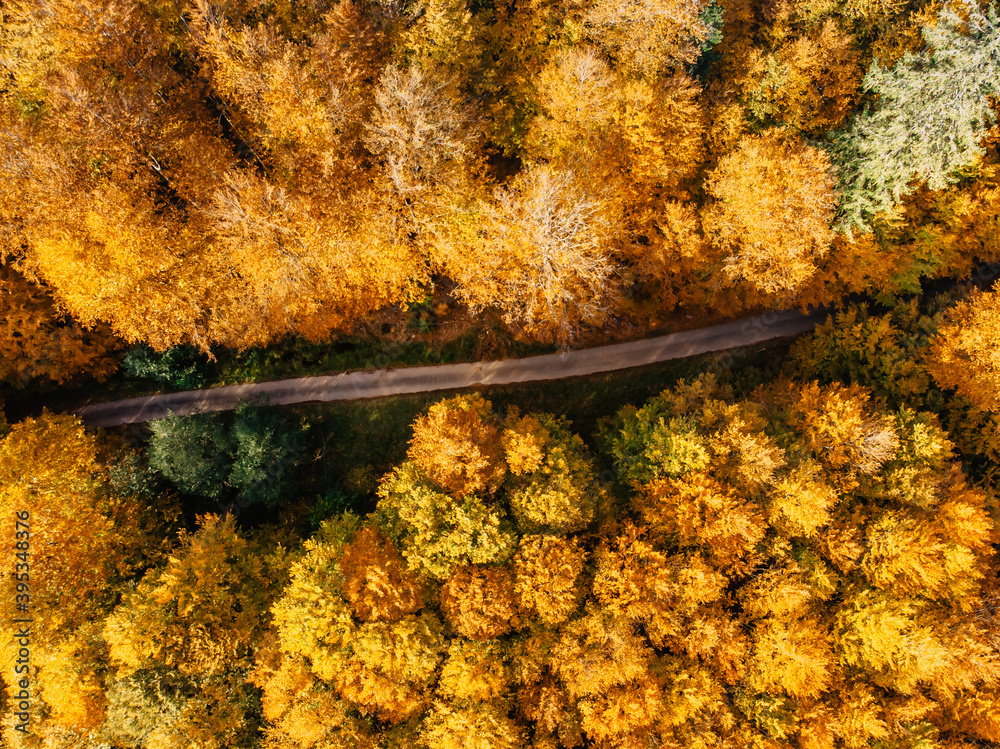 Fall forest landscape with rural road view from above. Colorful nature ...