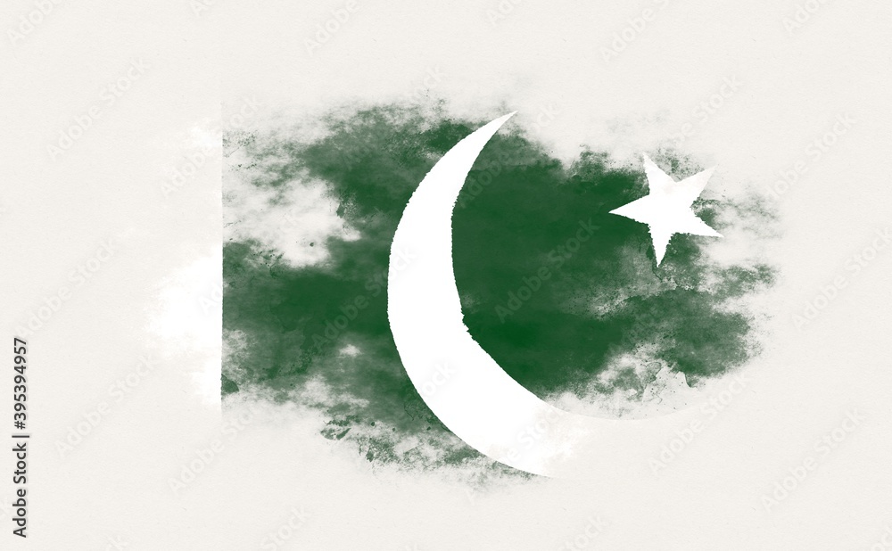 Painted national flag of Pakistan. Stock Illustration | Adobe Stock