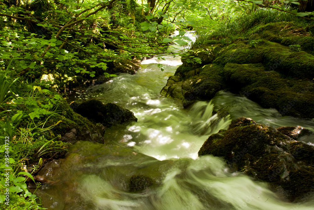 Foto de Alva Glen is a spectacular gorge in Scotland situated above the ...