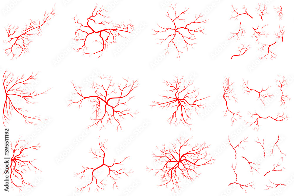 Vein set illustration isolated on white background. Collection of human ...
