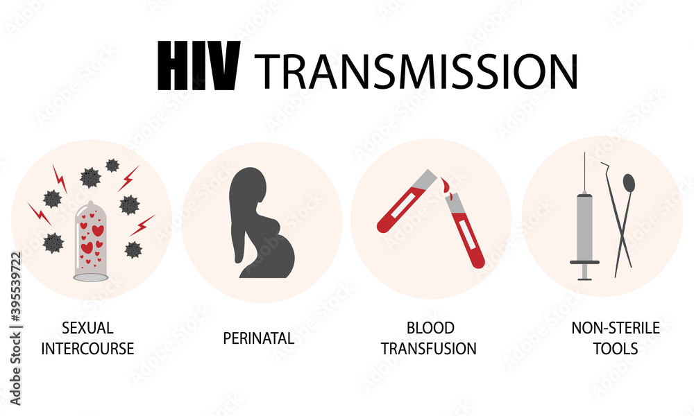 Hiv Transmission Hiv Transmission