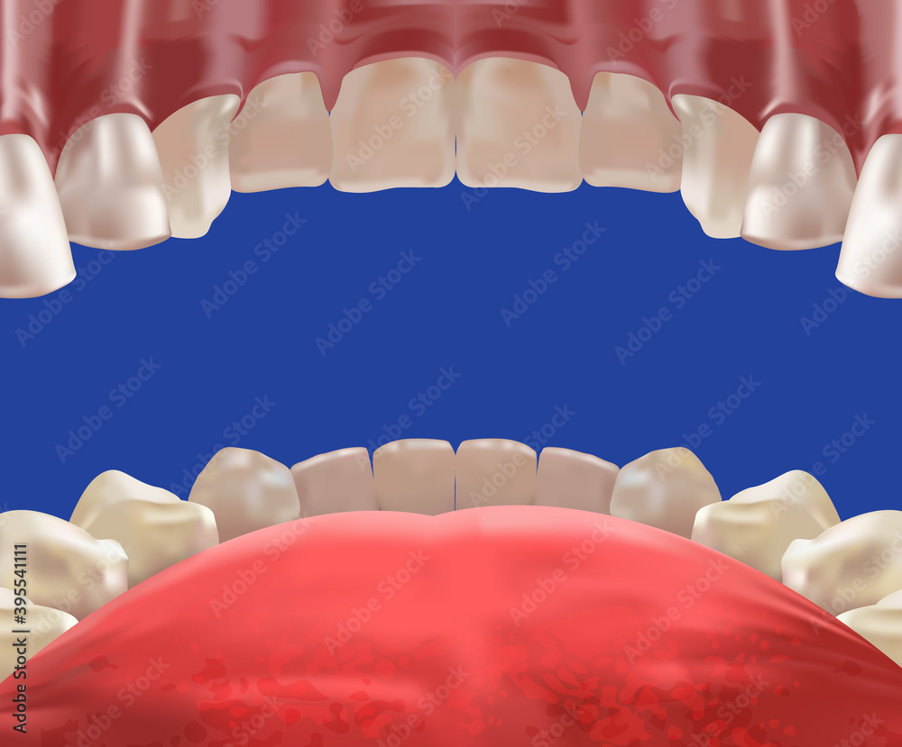 3d Realistic mouth cavity, view from inside, perspective design, vector ...