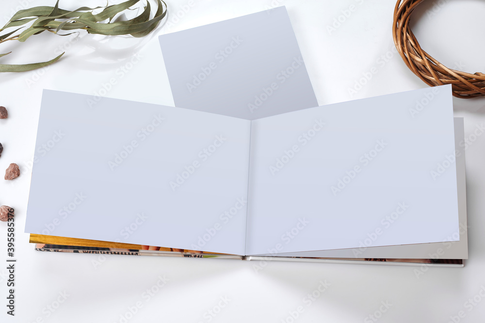 Open photo book with blank pages, empty sheet of paper, green twig and ...