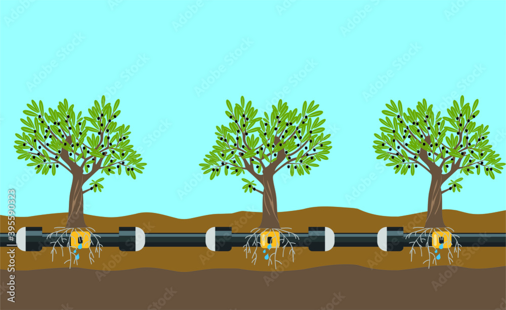 Underground or in ground drip irrigation system. Water irrigation ...