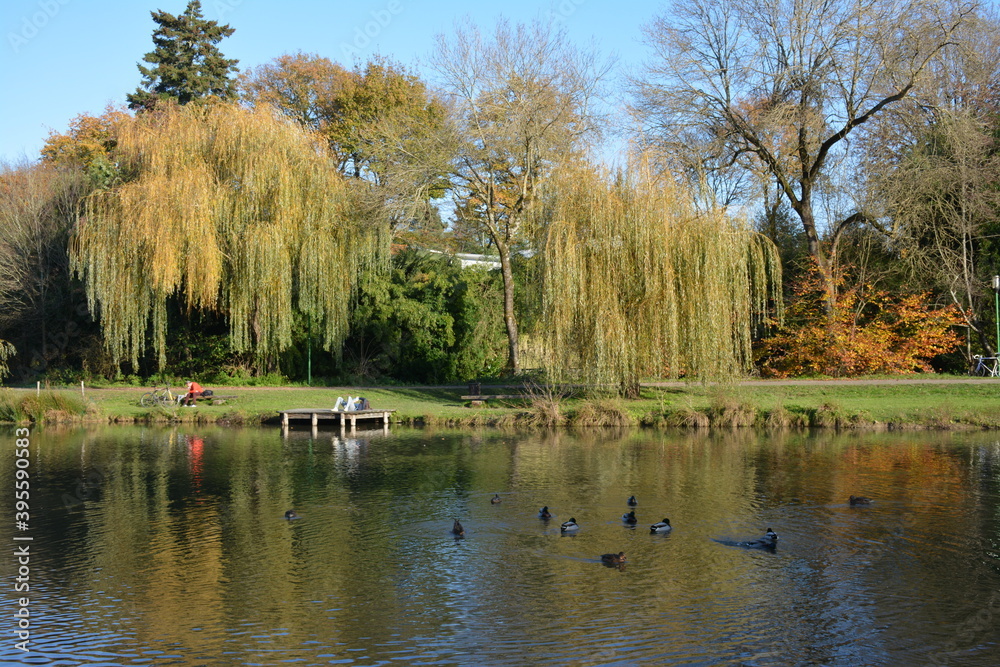Saint-Herblain - Parc du Val de Chézine - Bassin de la Chézine Stock ...