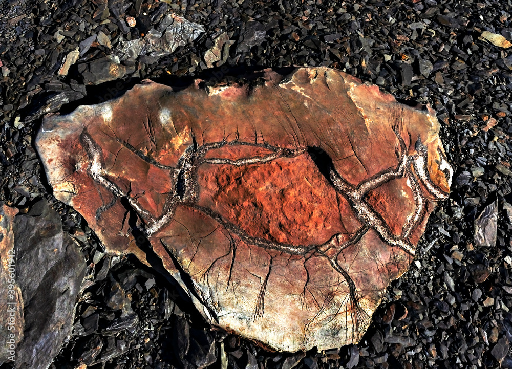 big mountain stone in a cut close-up among small gravel. Natural ...