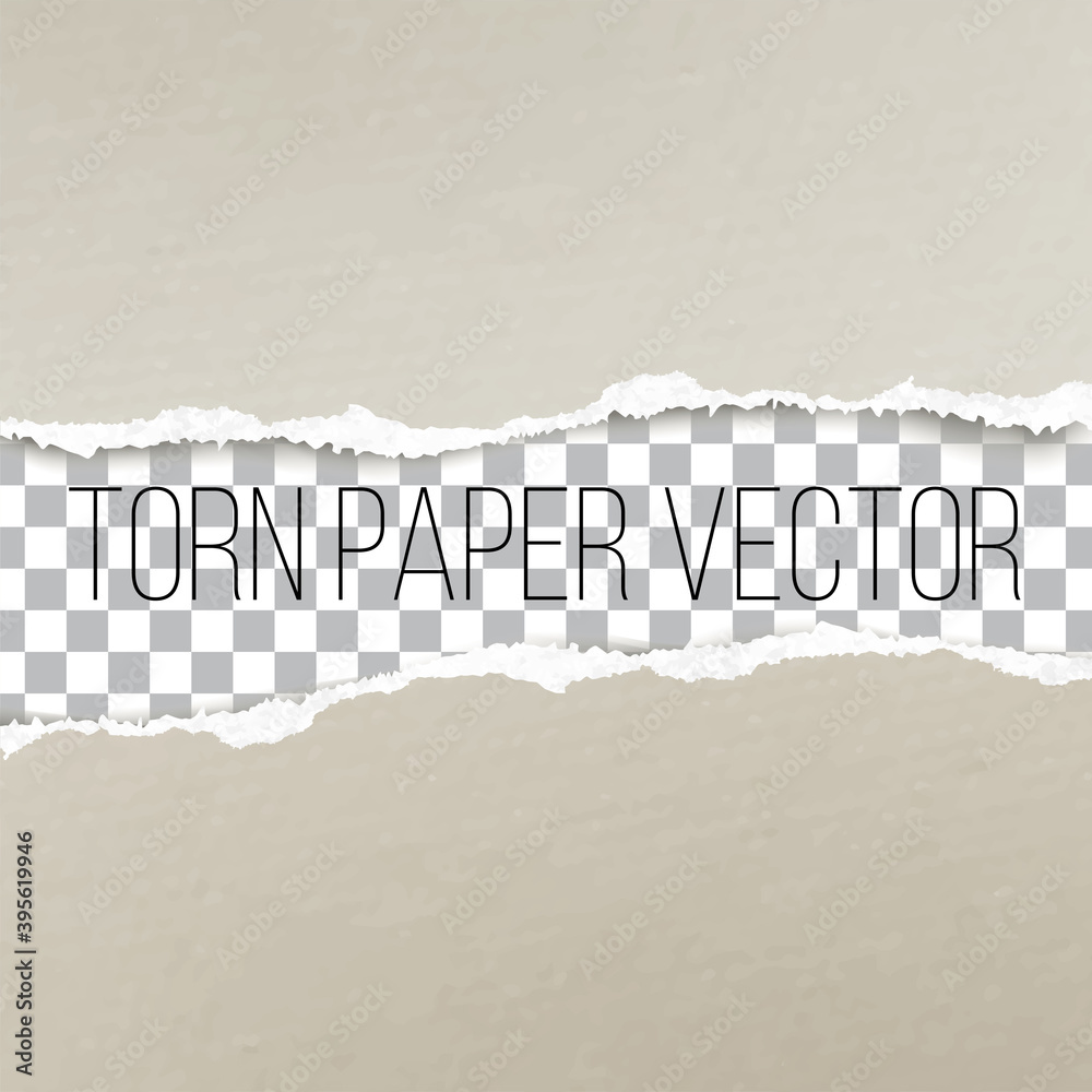 Realistic torn paper edge with shadow vector template. ripped broken ...