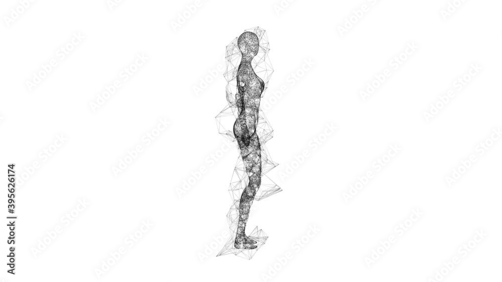 3d female or woman anatomy. Body biology medicine education concept ...