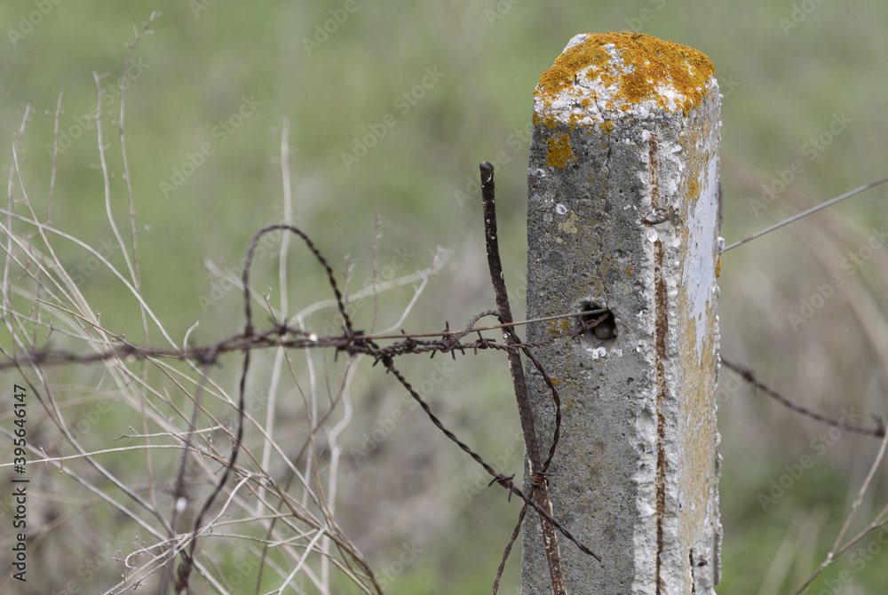 Foto de Weathered stone pole covered with lichen and fence with a ...