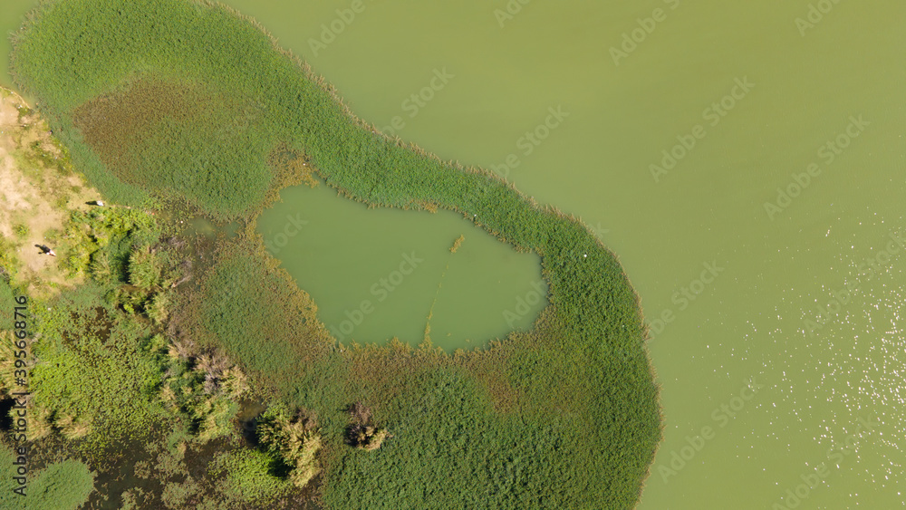 swamp in the forest view from drone. wetland landscape. View of an ...